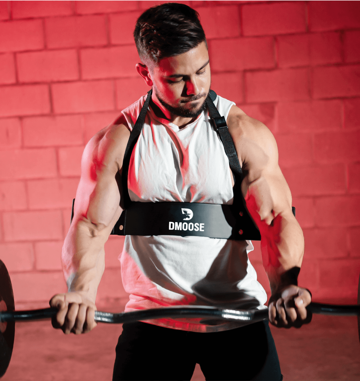 DMoose Arm Blaster For Biceps & Tricpes. Isolate & Maximize Muscle Growth